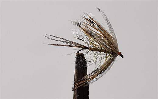 French Partridge Mayfly Fly - Fishing Flies with Fish4Flies UK