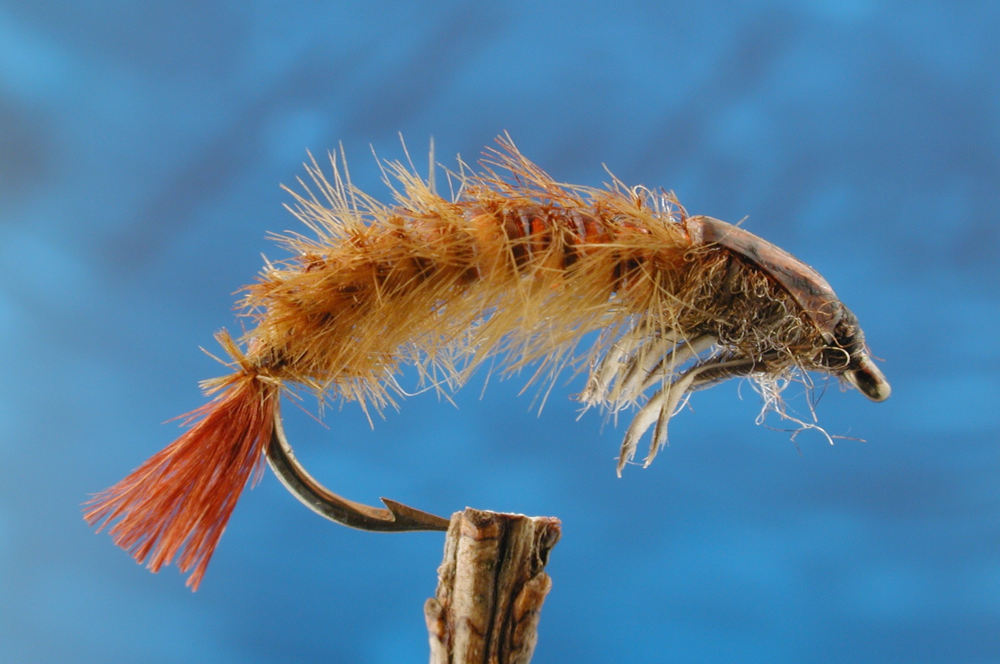 Elite Hydropsyche Larve Fly - Fishing Flies with Fish4Flies UK